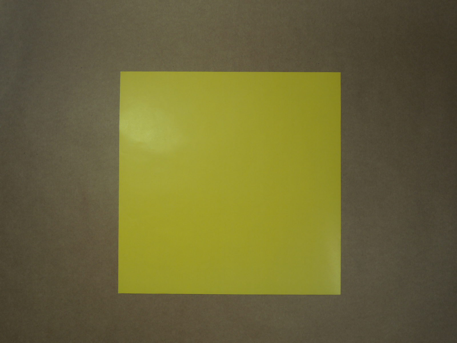 Origami Existing Crease Line Symbol: Visual Guide, Meaning & Use