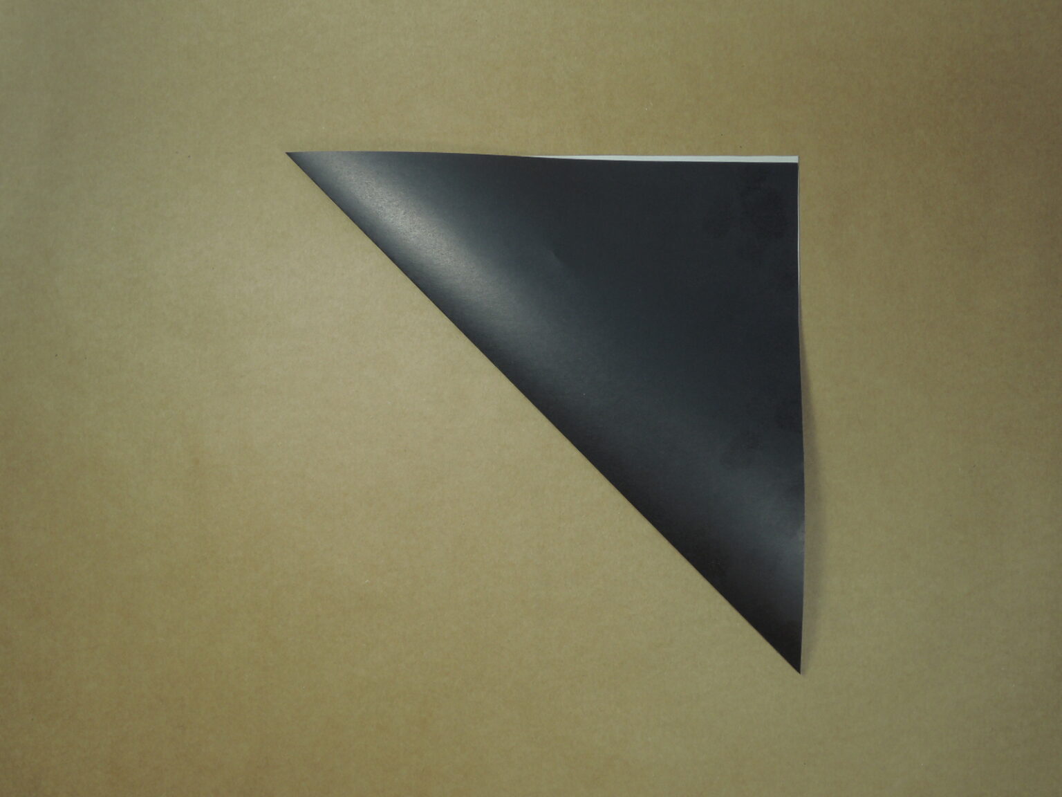 Origami Pleat Fold: Visual Guide to Learn How to Make It