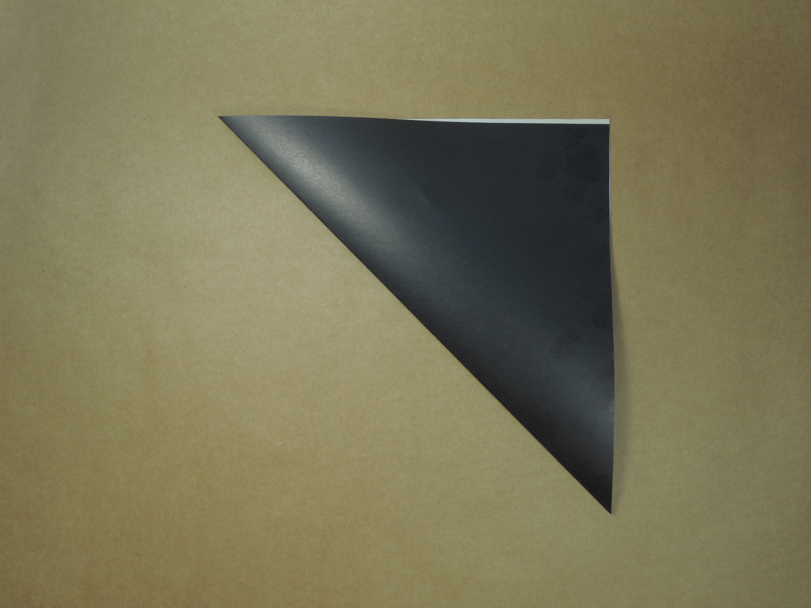 Origami Pleat Fold: Visual Guide to Learn How to Make It