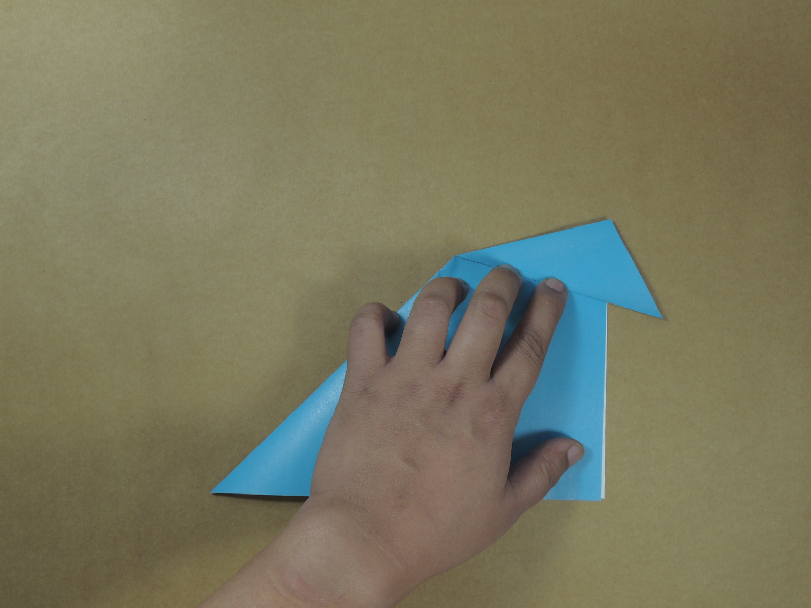 Origami Reverse Inside Fold: Visual Guide to Learn How to Make It