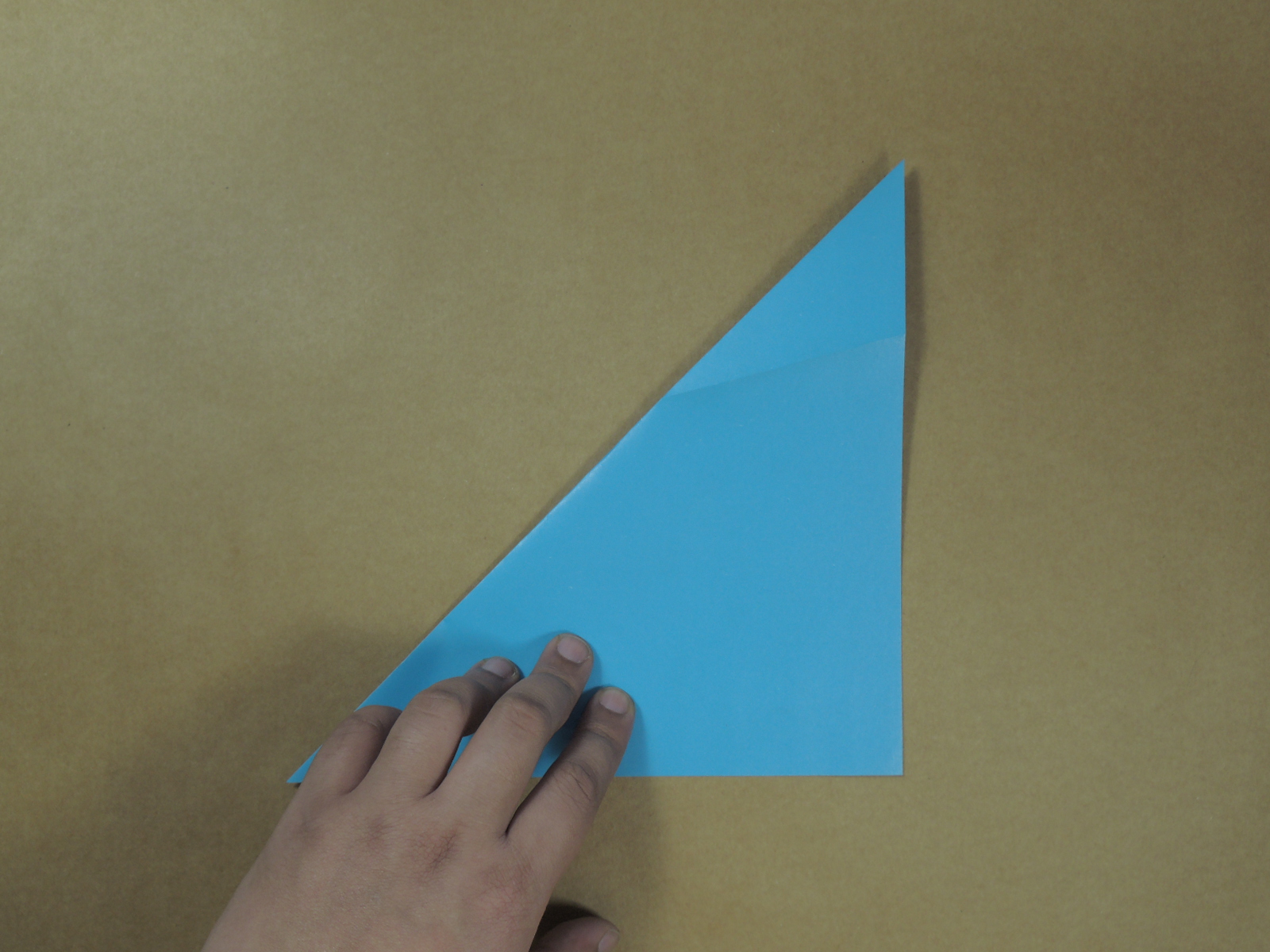 Origami Reverse Inside Fold: Visual Guide to Learn How to Make It