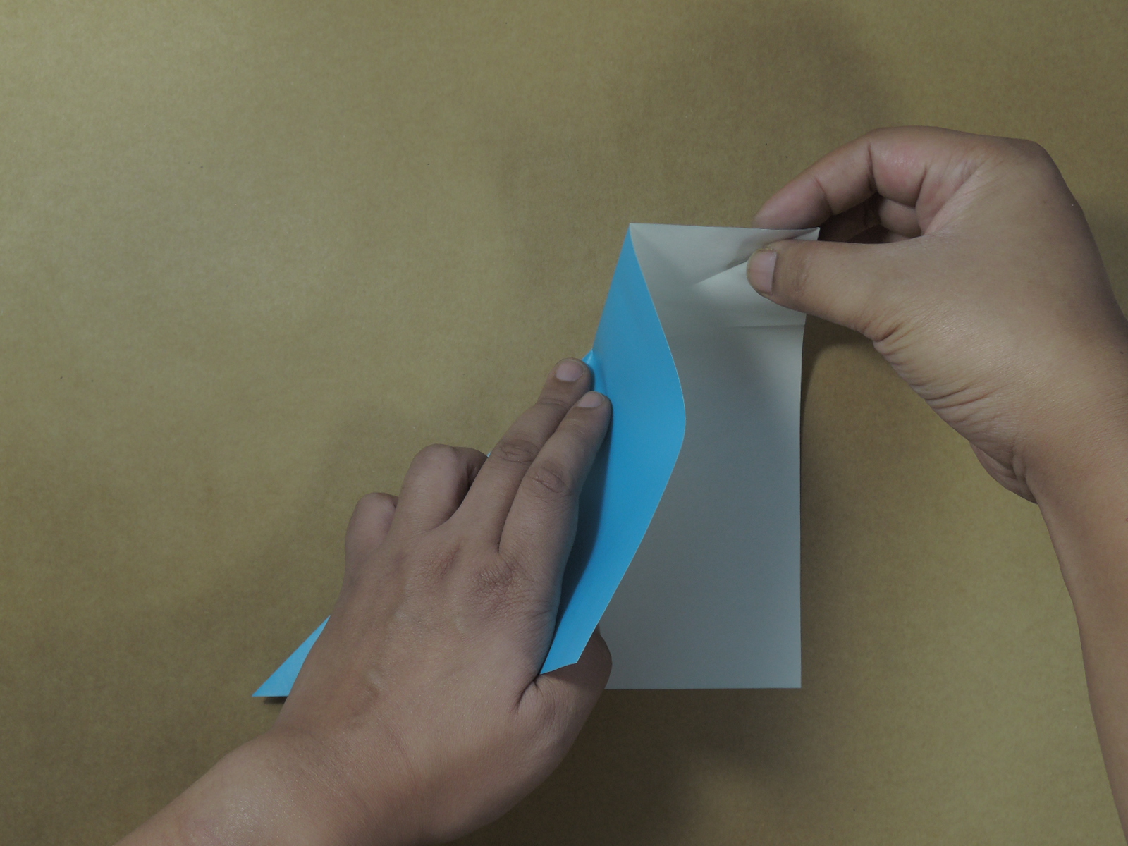 Origami Reverse Inside Fold: Visual Guide to Learn How to Make It