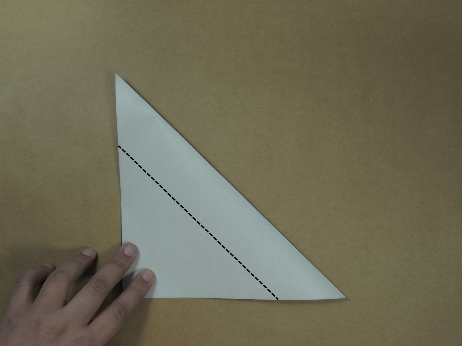 Origami Pleat Fold: Visual Guide to Learn How to Make It